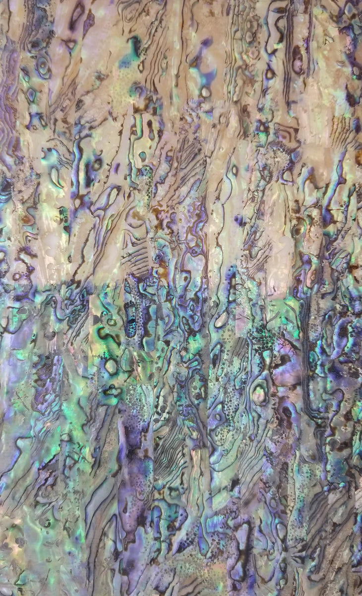 Shell Paper – Shells for Artists