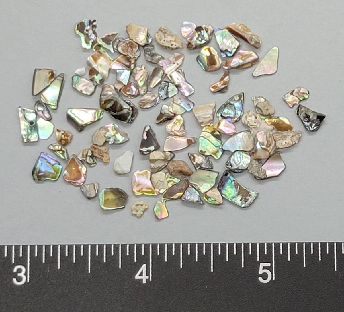 Small Abalone Chips - 2mm to 6mm - 2"x2" bag – Shells for Artists