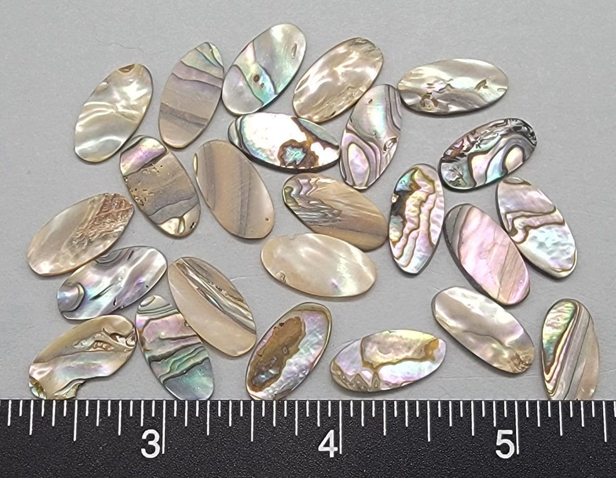 Abalone Ovals - 8mm x 16mm - 24pcs – Shells for Artists