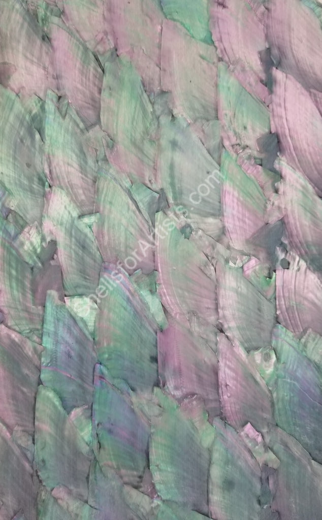 Donkey Ear Abalone Paper – Shells for Artists